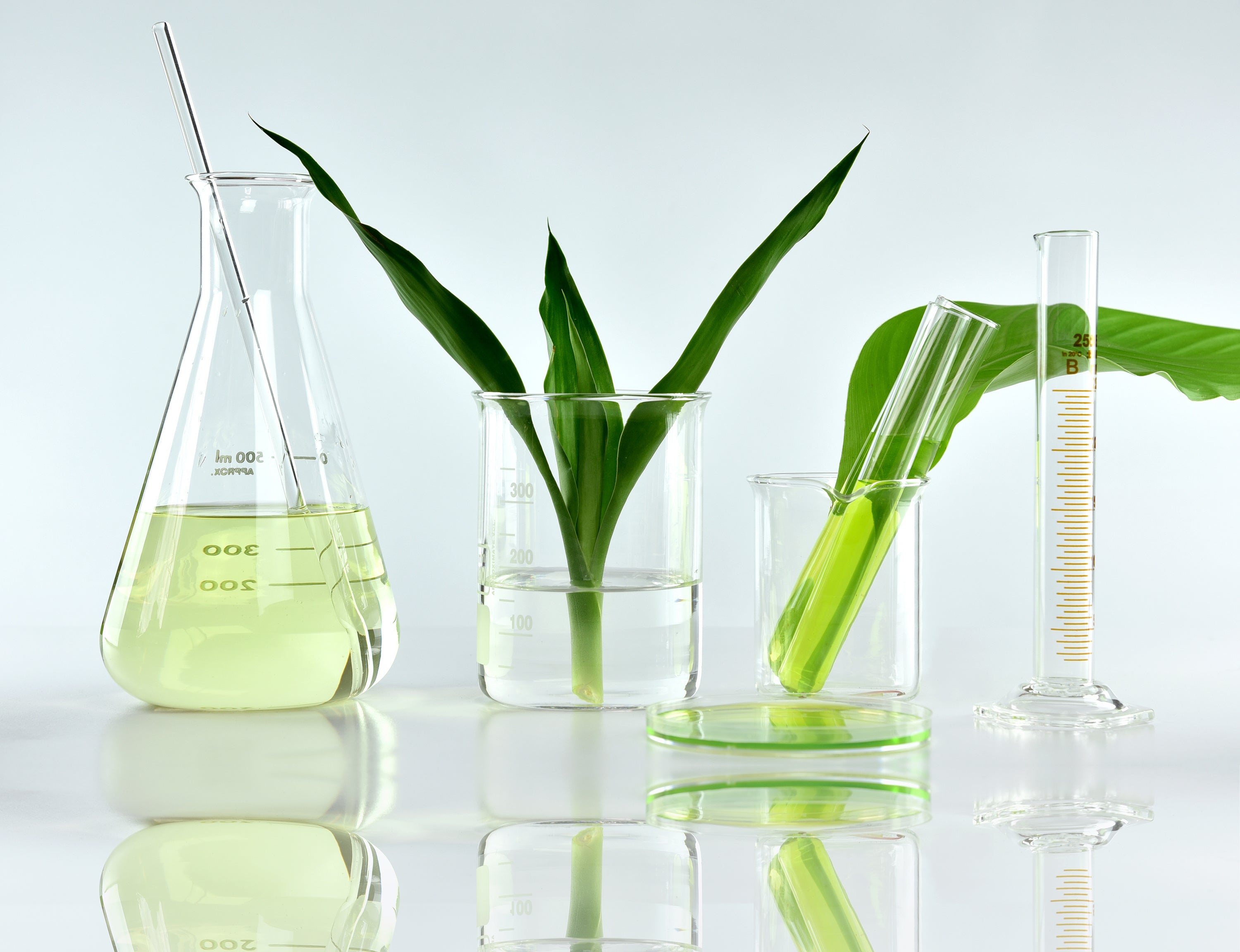 What is Squalane: Everything You Need to Know | Onda Beauty